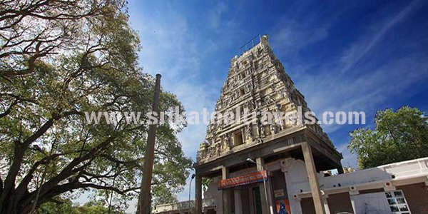 Bull Temple - Bangalore Tourist Attractions - Reviews on Bull Temple